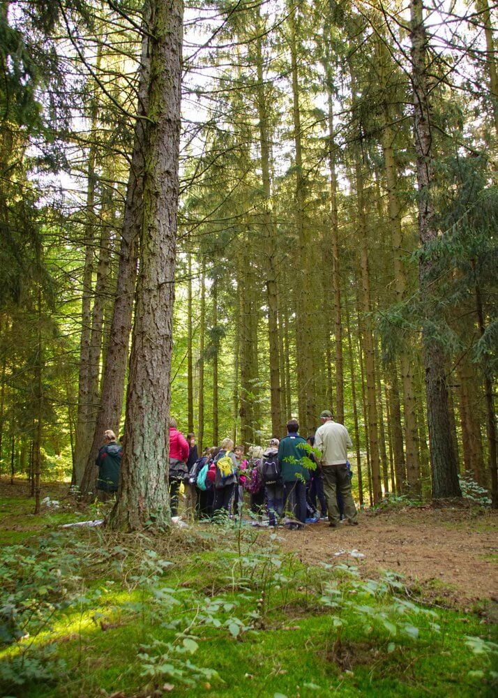 Rothemühl - Wald-MV